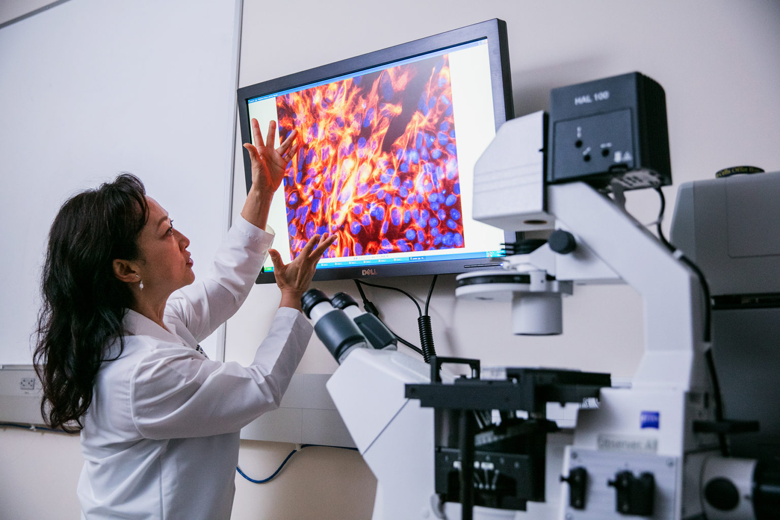 UCI Impact Stories Healthcare - Brilliant Future: The Campaign for UCI